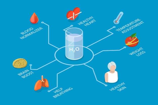 Glukoneogeneza: Czym Jest i Jakie Ma Znaczenie?